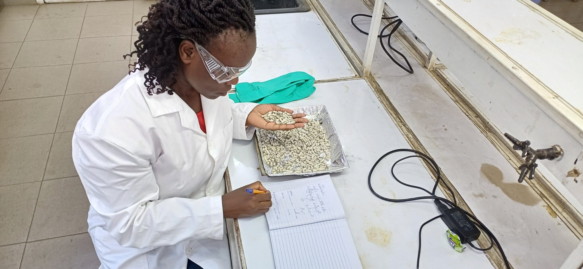 Changing Lives Through Ecosystem Strengthening: The Research and ...